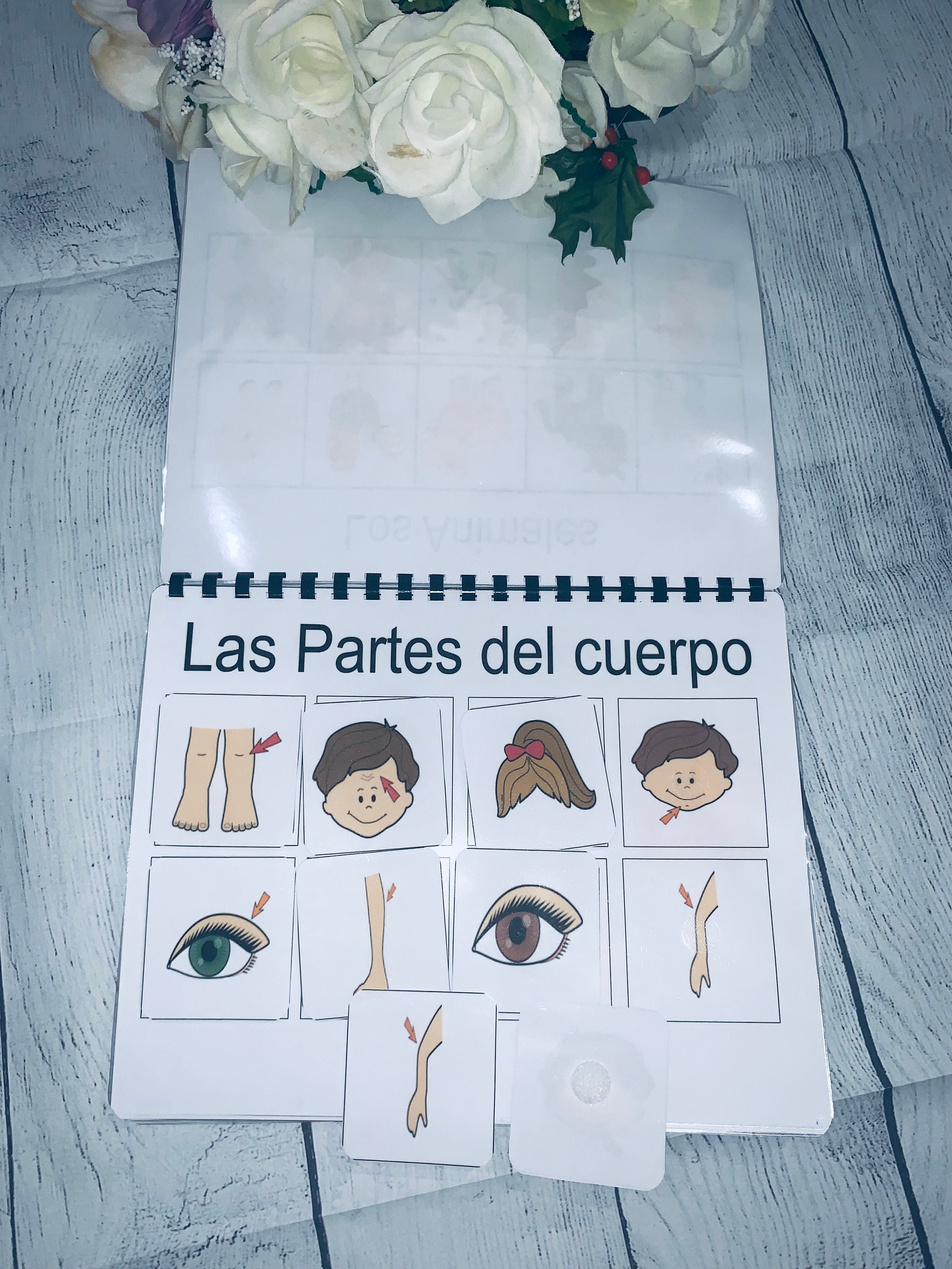 Spanish, Busy Book Interactive Activity Tracing, Homeschool Daily Work ...