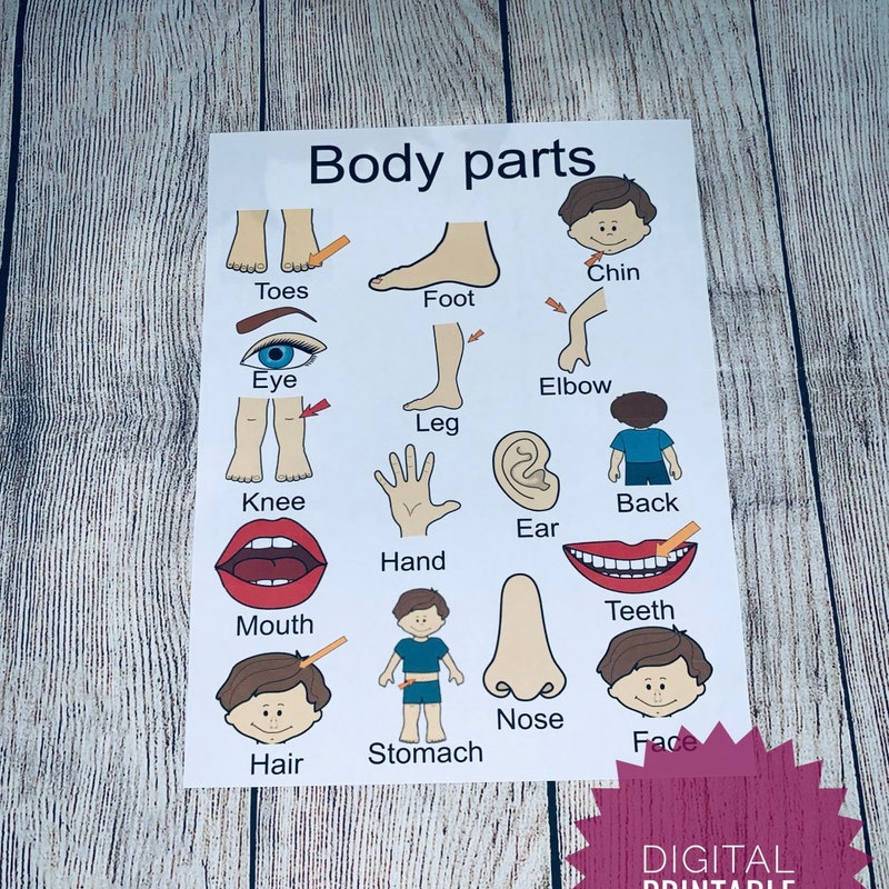 Body Part Decorations - Etsy