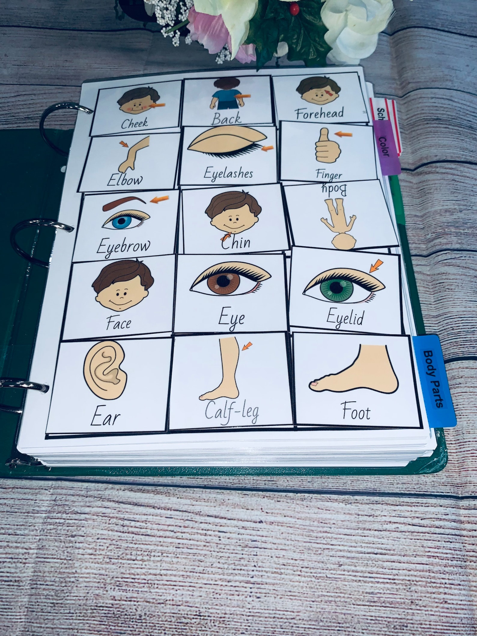 300 Bundle Pictures Card for Communication Speech Therapy, Autism Non ...