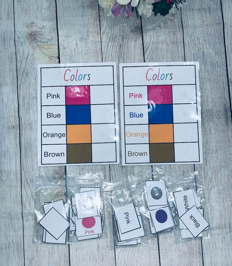 Color Matching Interactive Busy Book Speech Therapy, OT Therapy, DTT ...