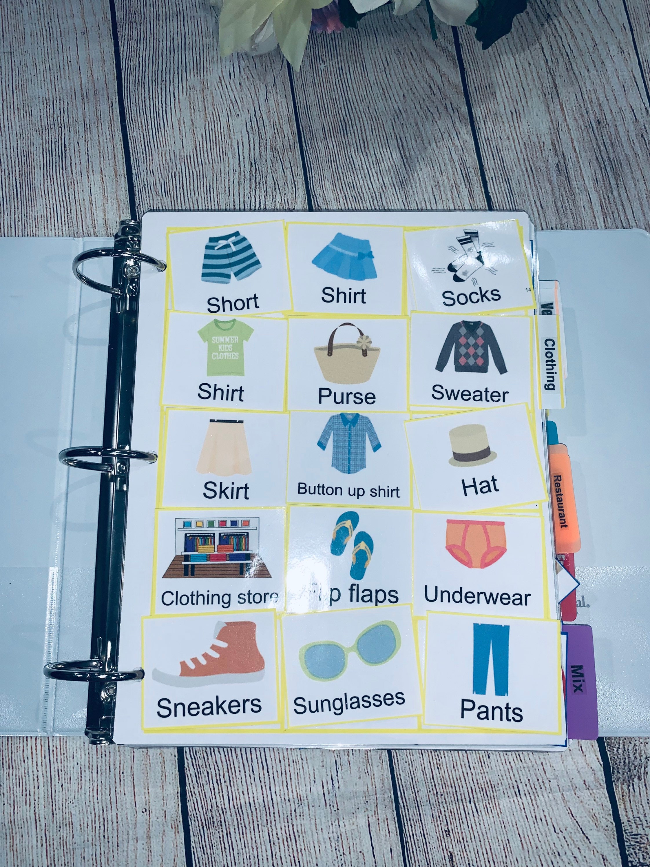 Autism Communication Pictures Cards, Bundle of 300, Speech Therapy, ABA ...