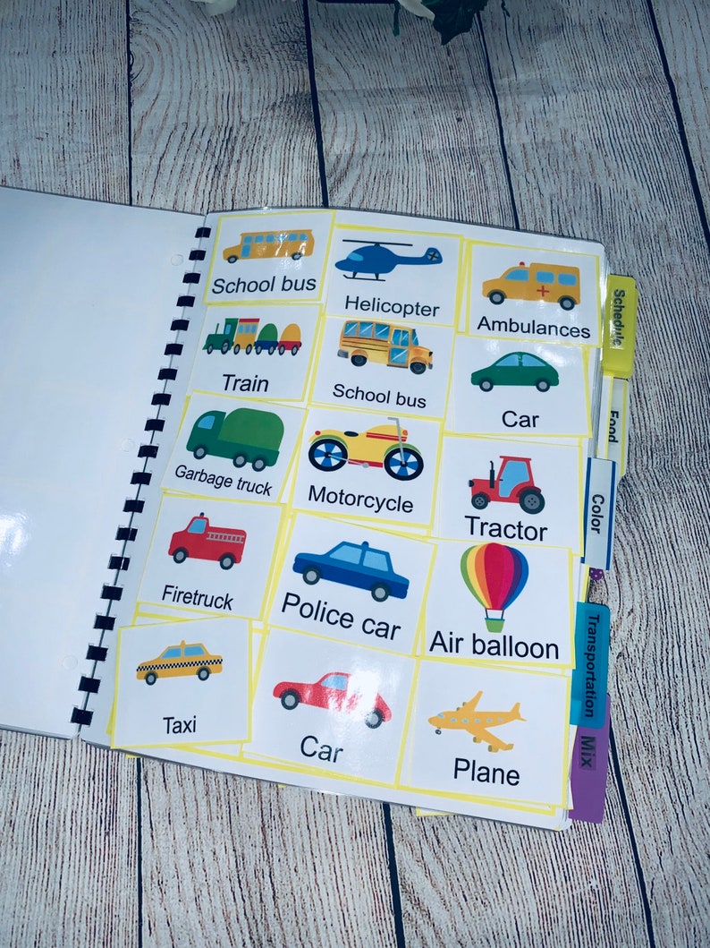 300 Picture Communication Cards | Autism, Special Needs, Speech Therapy ...