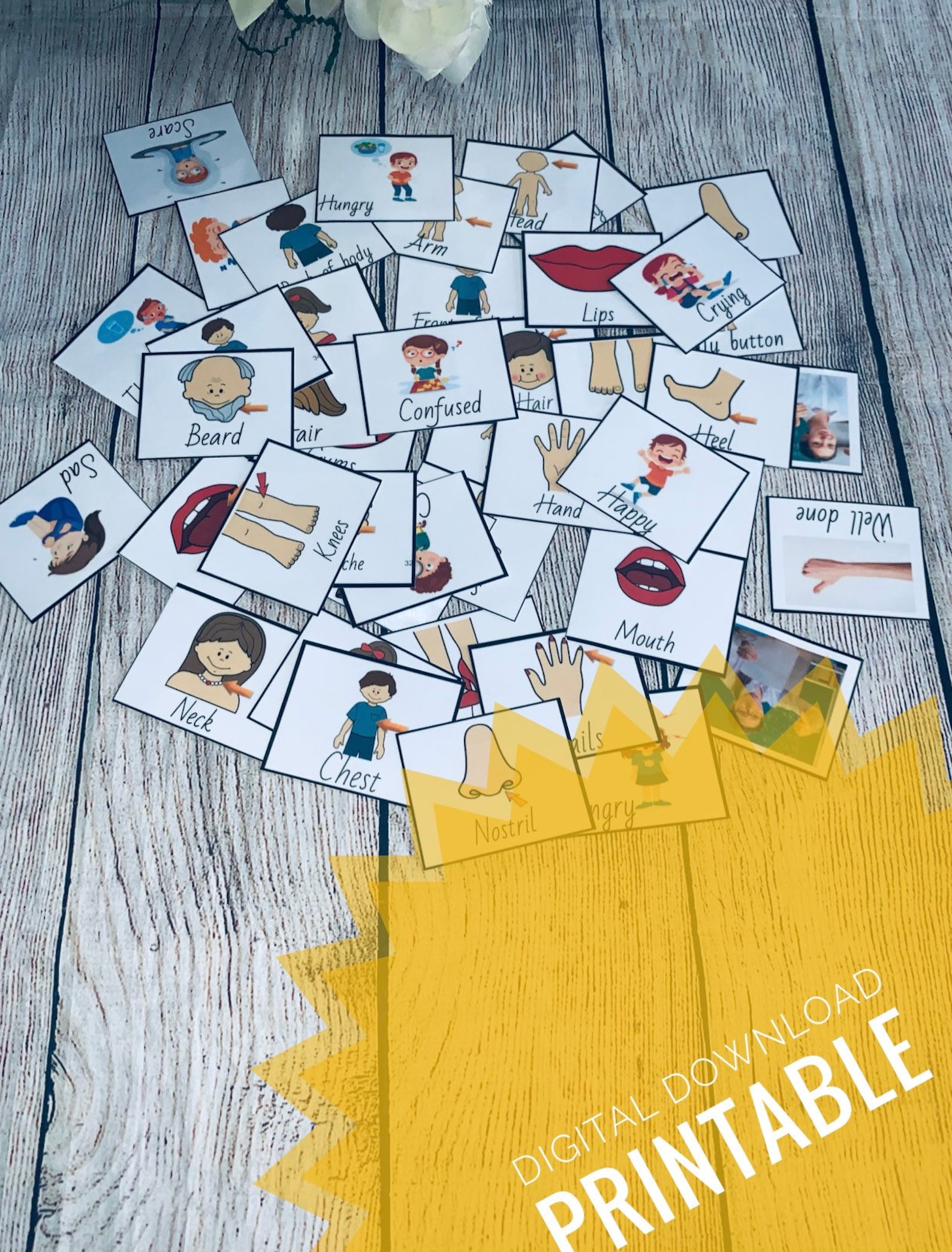 45 Loose Cards Feelings, Emotion and Body Part Pictures Cards for ...