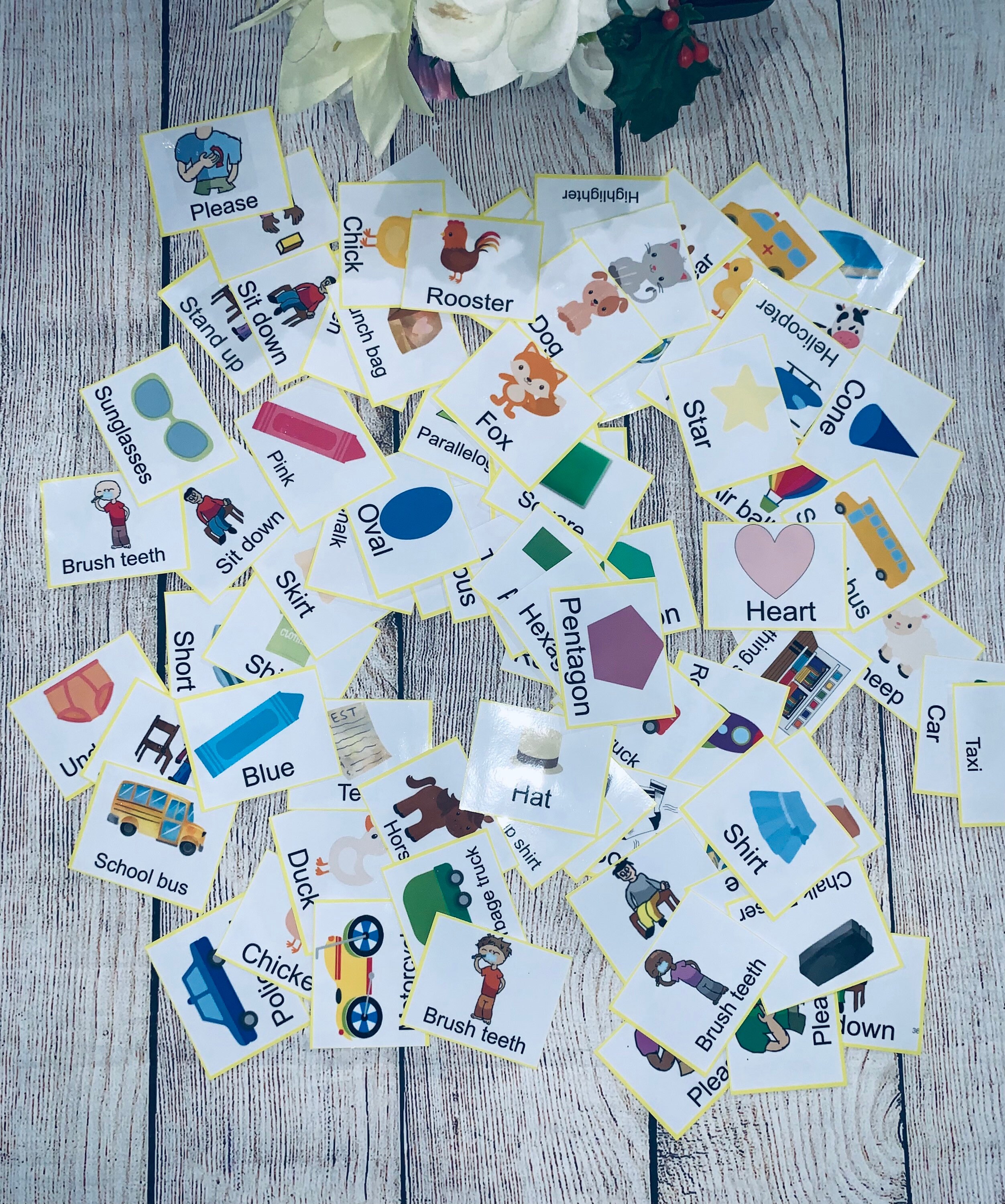 Autism Communication Pictures Cards Bundle of 300 Speech - Etsy