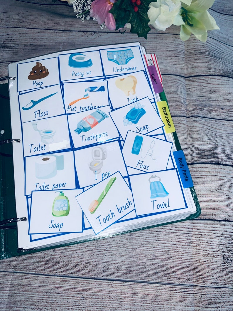 Pictures Cards for Communication Book/binder, Bundle of 210 ...