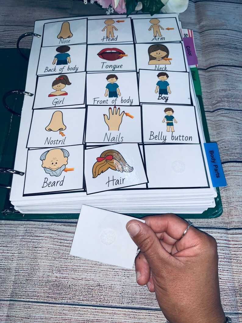 Pictures Card Binder Kit Pictures Cards Speech Therapy OT - Etsy