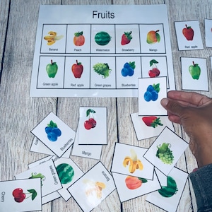 Toddler, Preschool Busy Work, Fruits Sorting Matching , Montessori ...