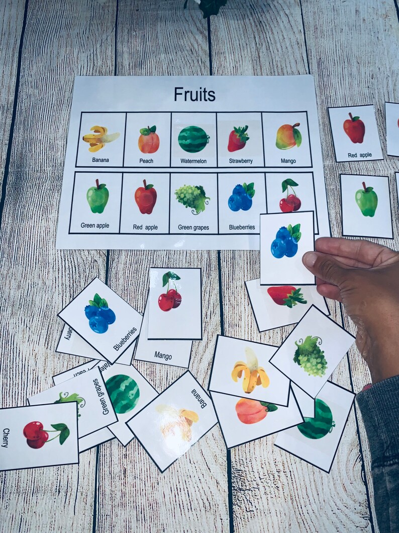 Toddler, Preschool Busy Work, Fruits Sorting Matching , Montessori ...