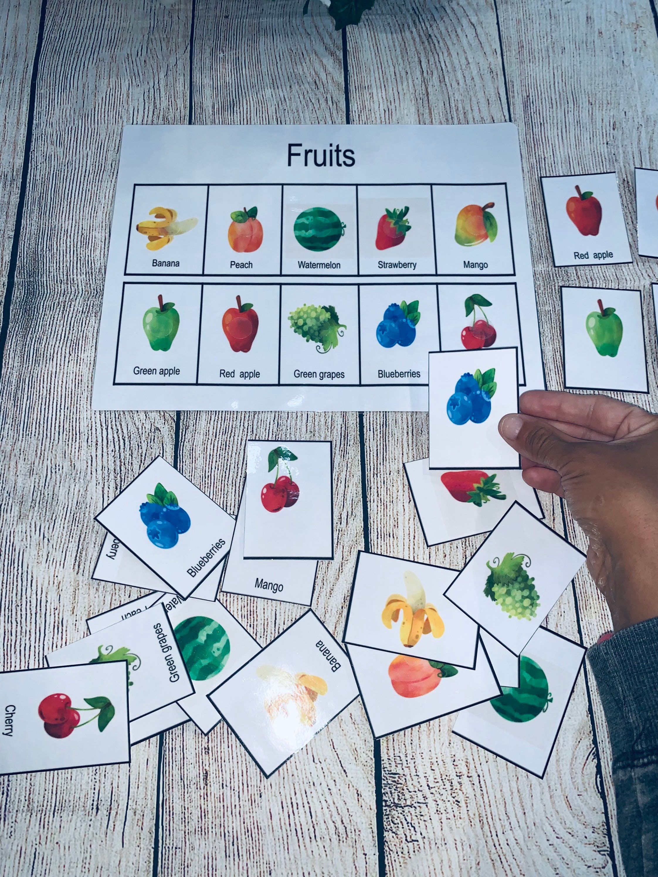 Toddler Preschool Busy Work Fruits Sorting Matching - Etsy