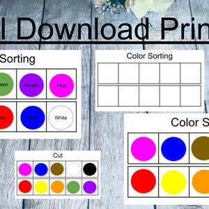 Toddler, Preschool Busy Work, Colors Sorting Matching, Montessori ...