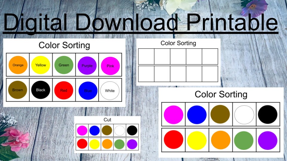 Toddler, Preschool Busy Work, Colors Sorting Matching, Montessori ...