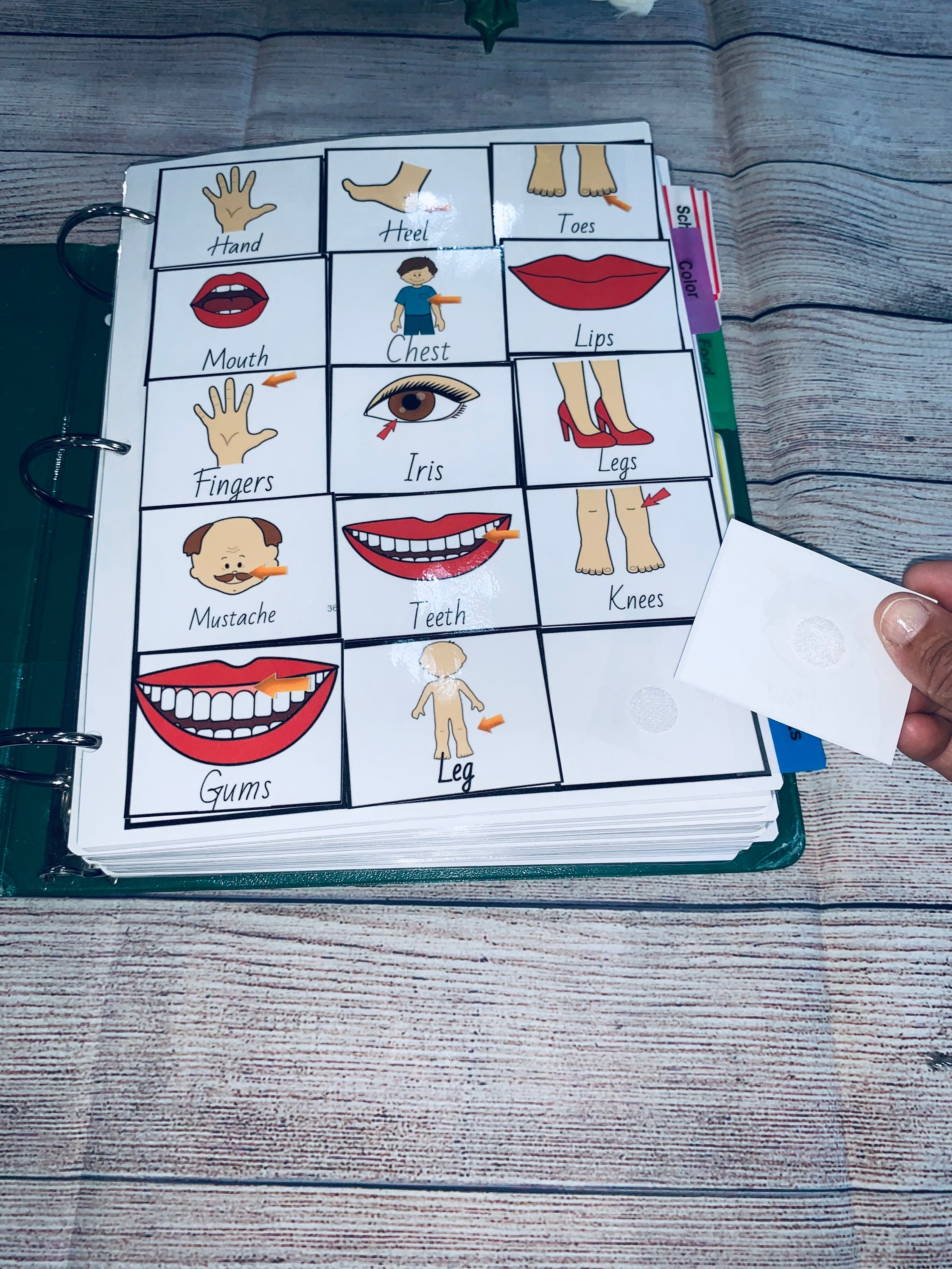 300 Bundle Pictures Card for Communication Speech Therapy, Autism Non ...