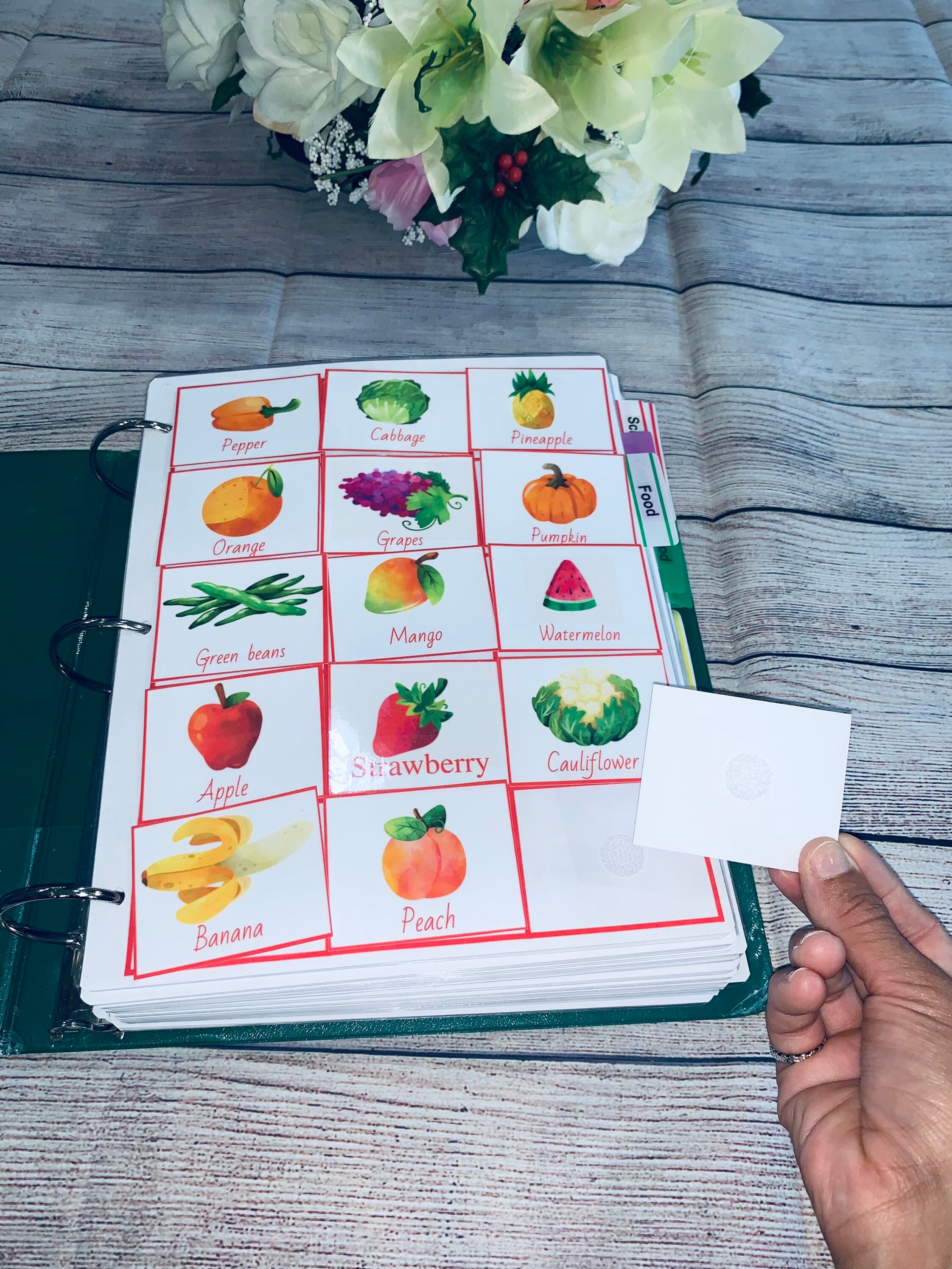 Sign Language, Pictures Cards Book or Binder Small Pictures Book, 210 ...