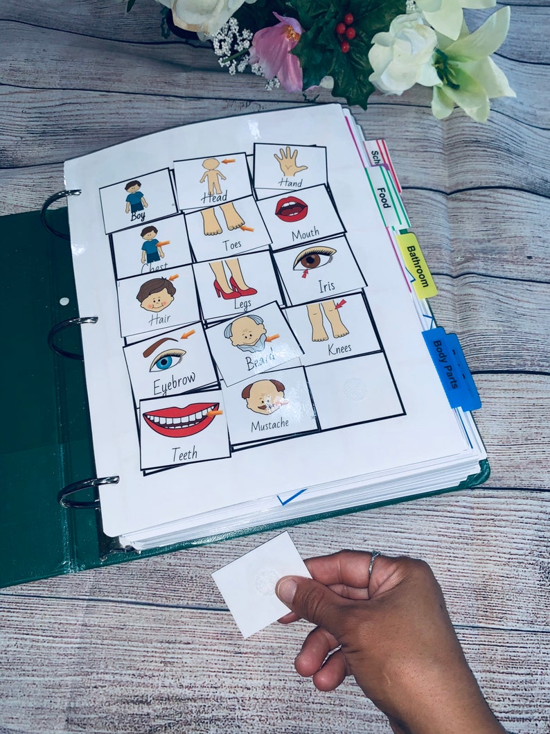 Pictures Cards for Communication Book/binder, Bundle of 210 ...