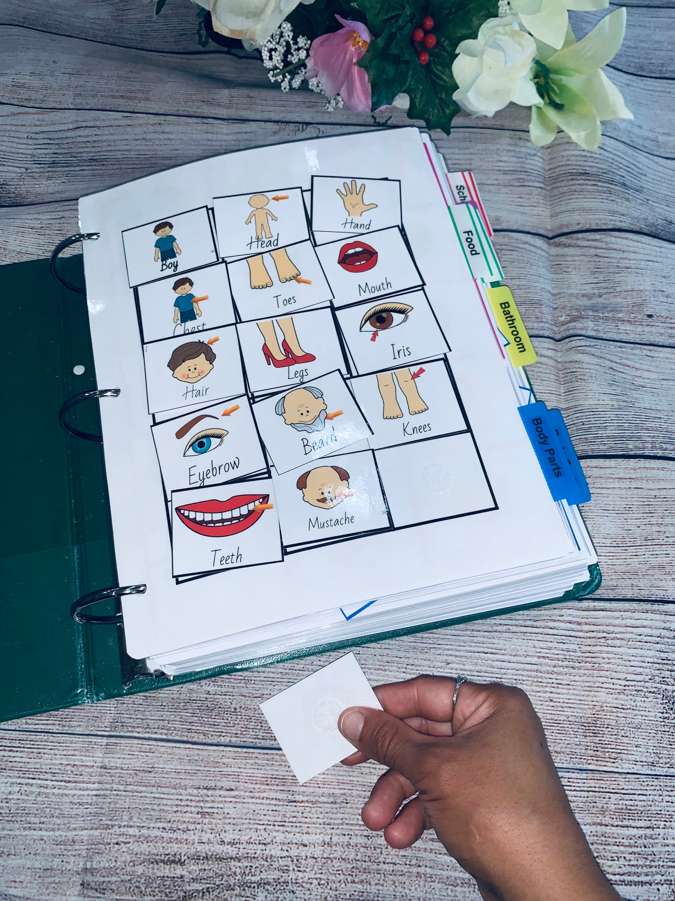 Pictures Cards for Communication Book/binder, Bundle of 210 ...