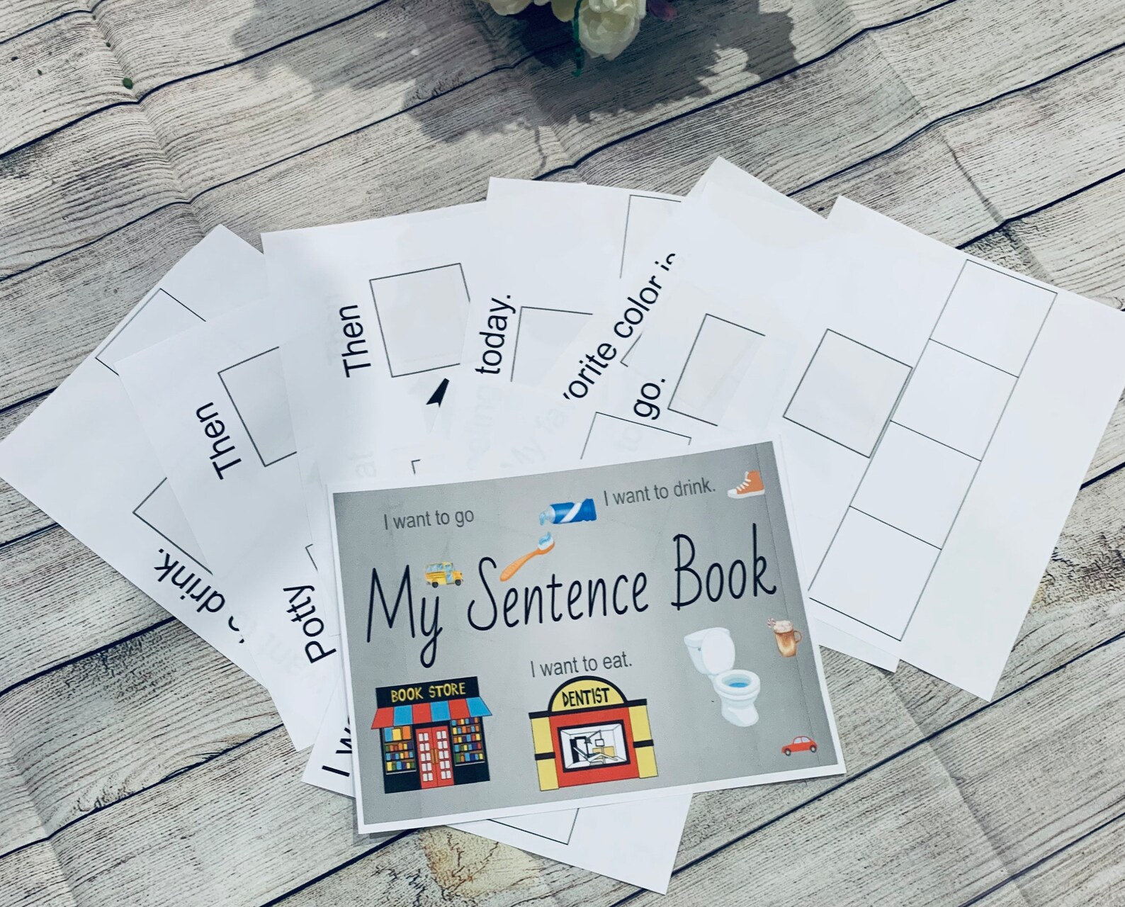 300 Bundle Pack Pictures Cards for Communication Sentence Book, Travel ...