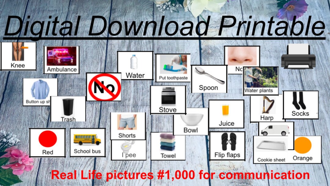 1,000 Real Life Pictures Card for Communication Speech Therapy Autism ...