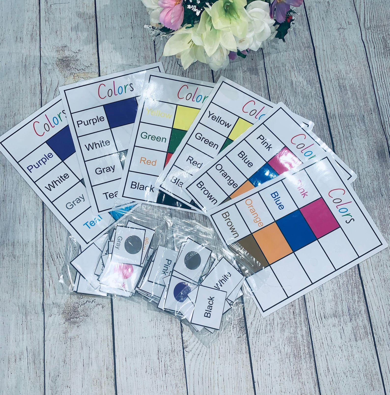 Color Matching Interactive Busy Book Speech Therapy, ABA Therapy DTT ...