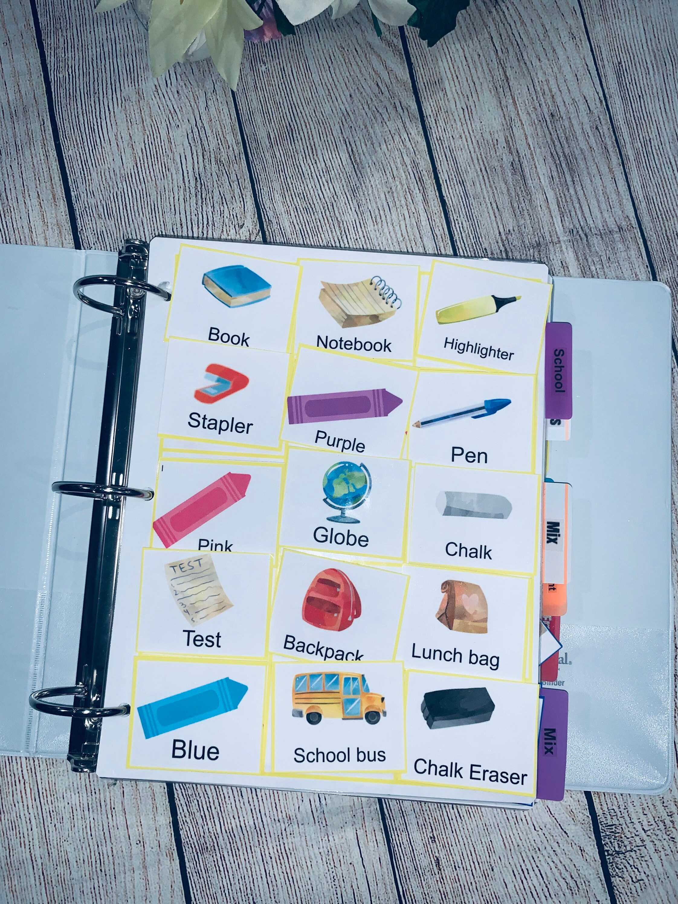 Autism Communication Pictures Cards, Bundle of 300, Speech Therapy, ABA ...