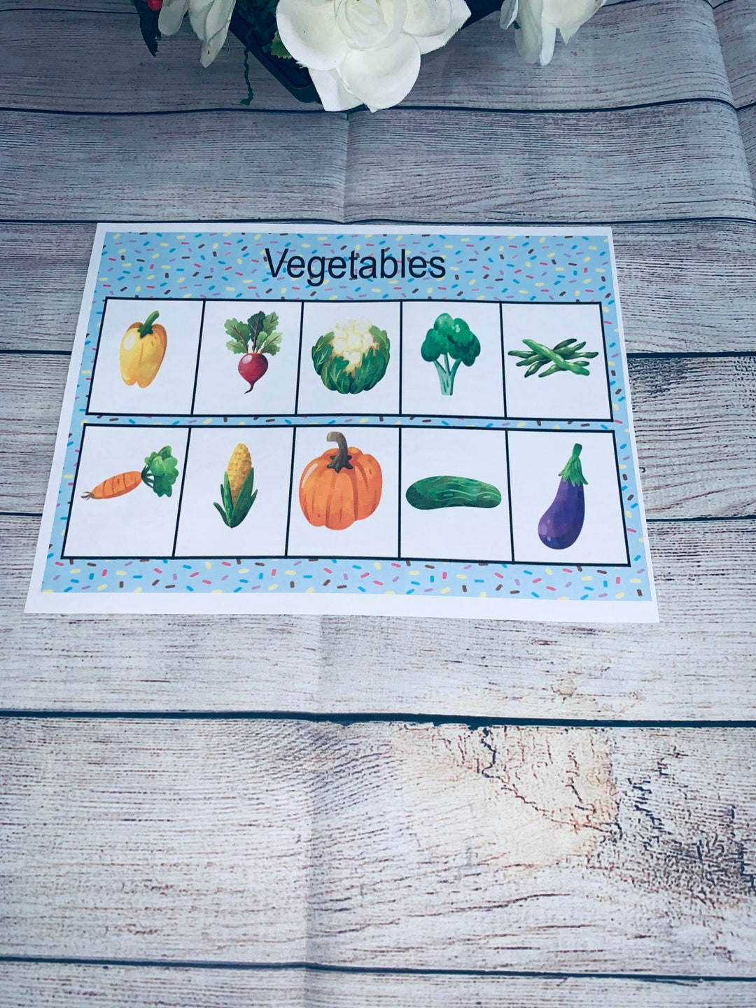 Toddler, Preschool Busy Work, Vegetables Sorting Matching ,montessori ...