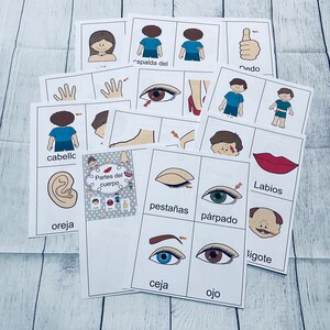 Spanish Body Parts Flashcards Printable Partes Del Cuerpo En Español ...