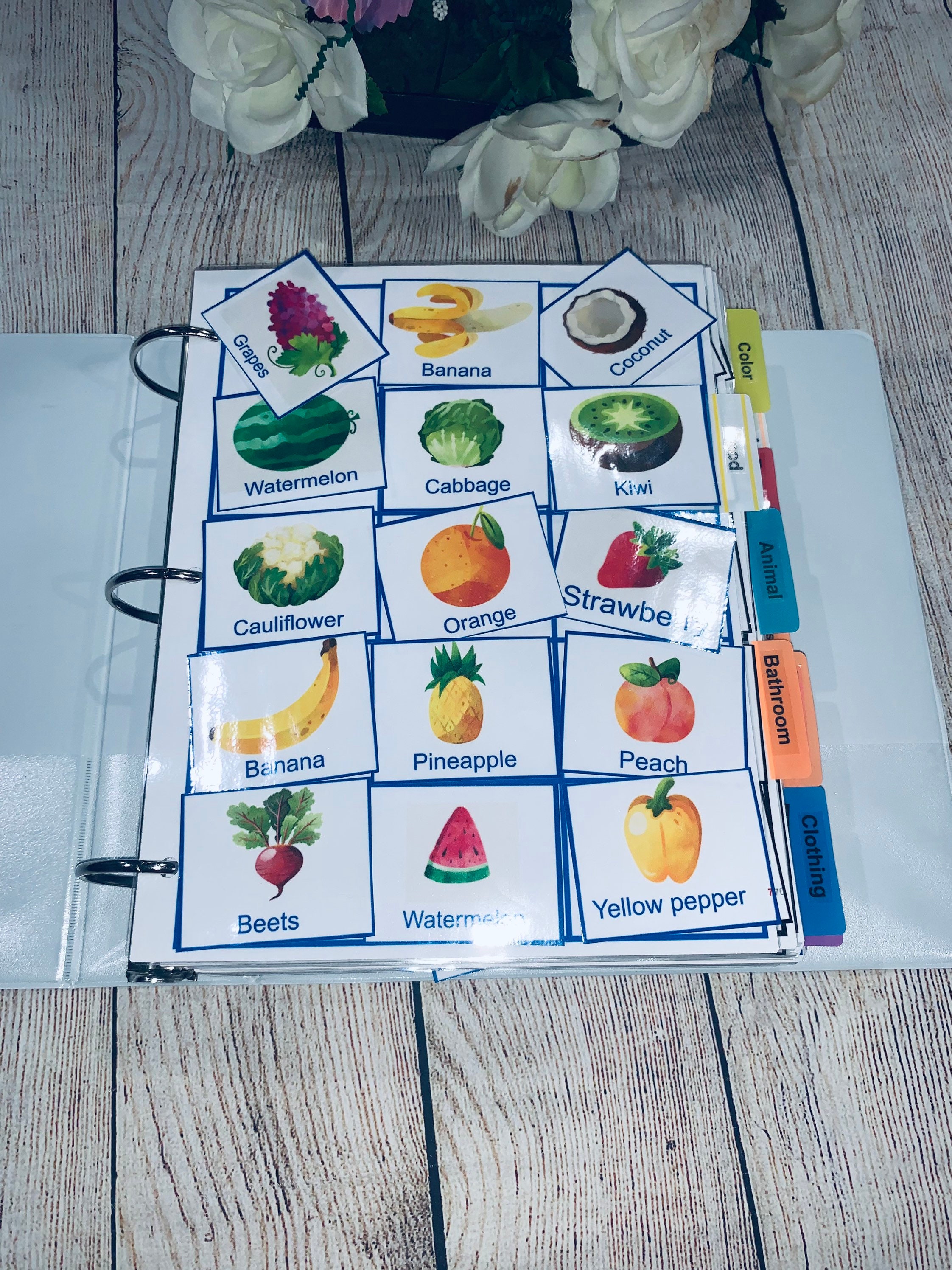 Food Therapy, Bundle 100 Food Charts, Choices Board, Book, Visual Aid ...