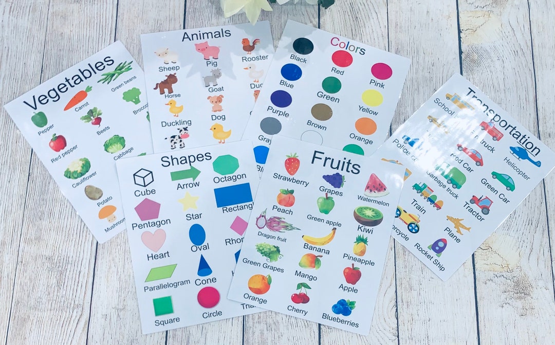 Shapes, Colors, Animal 6 Poster Wall Art Laminated, Montessori ...