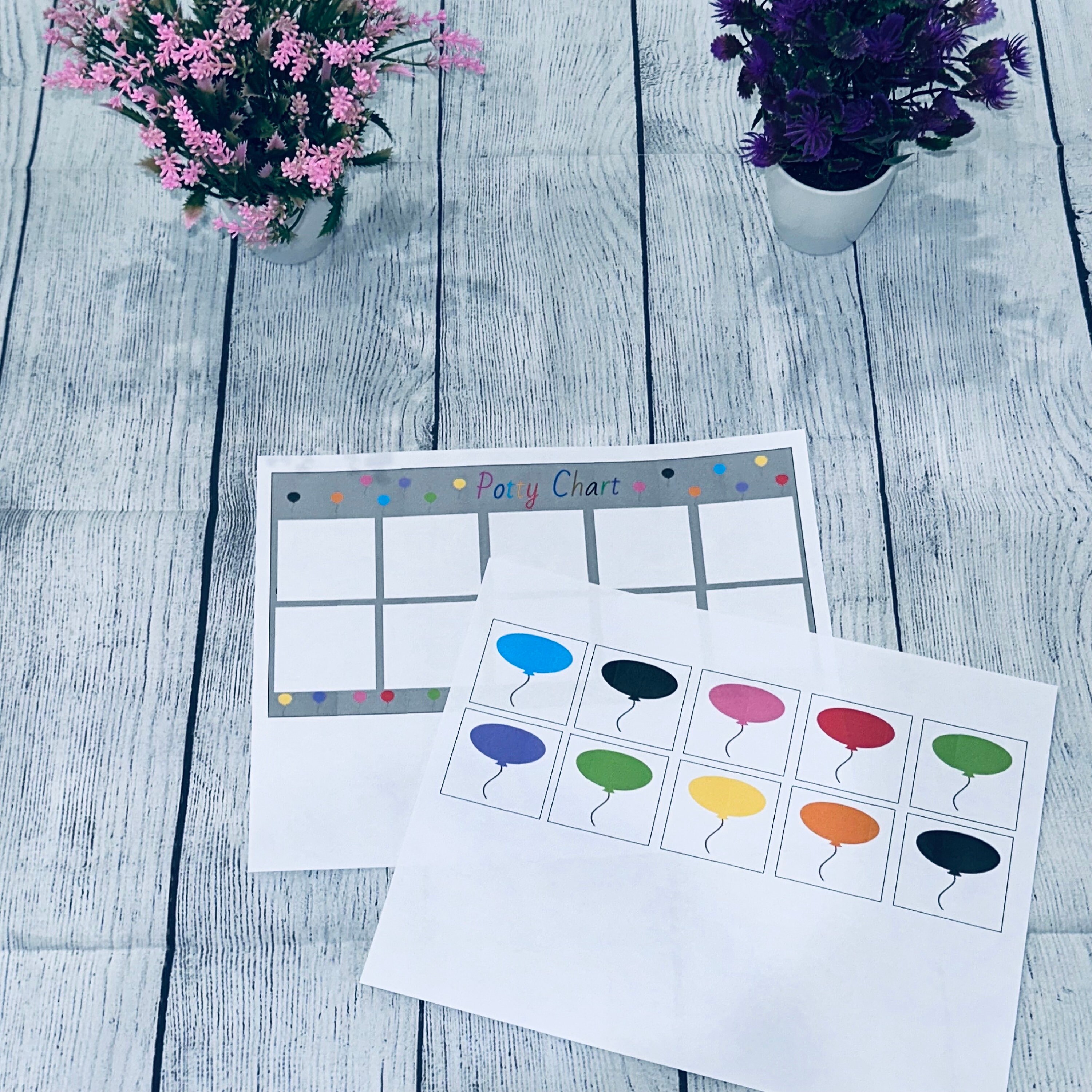 Kids Balloon It's Potty Time Training Board Poster Bathroom Toilet ...