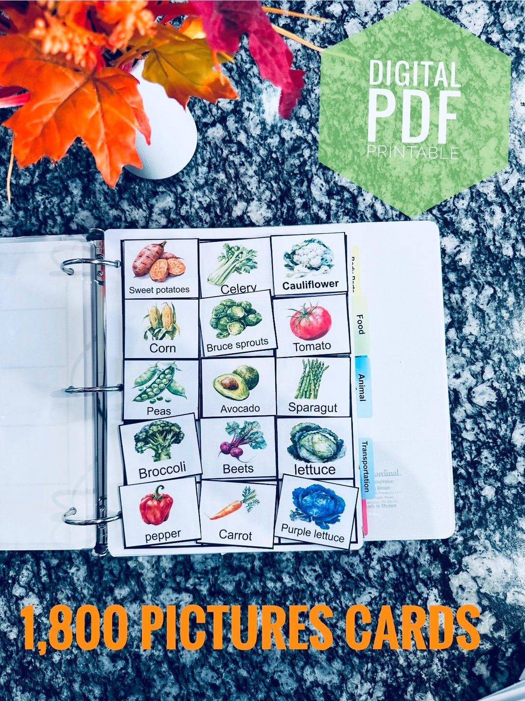 1,800 Picture Cards for Communication, Speech Therapy, Autism Nonverbal ...