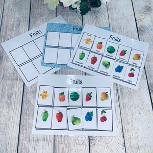 Toddler, Preschool Busy Work, Fruits Sorting Matching , Montessori ...