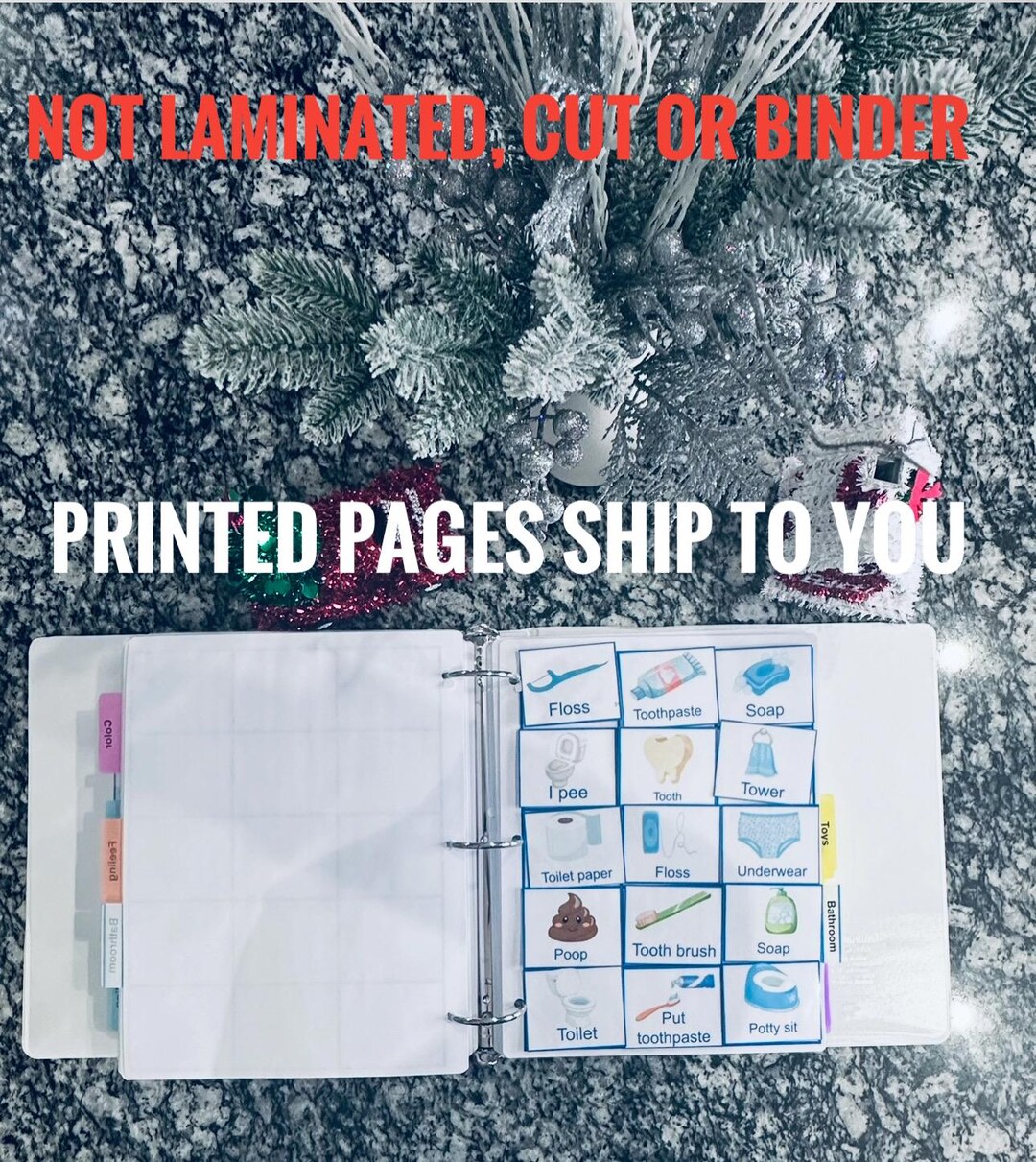 Printed 1,000 PEC Blue Picture Cards | Speech Therapy Communication ...