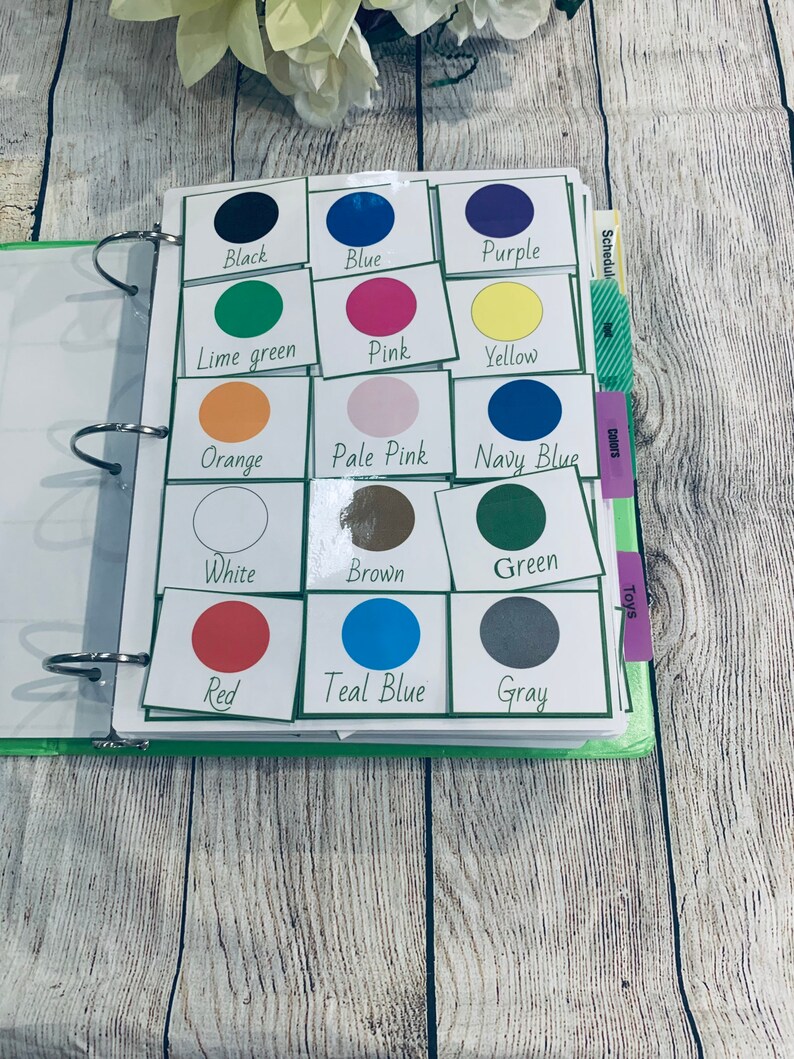 Bundle Pictures Card for Communication Speech Therapy ABA - Etsy