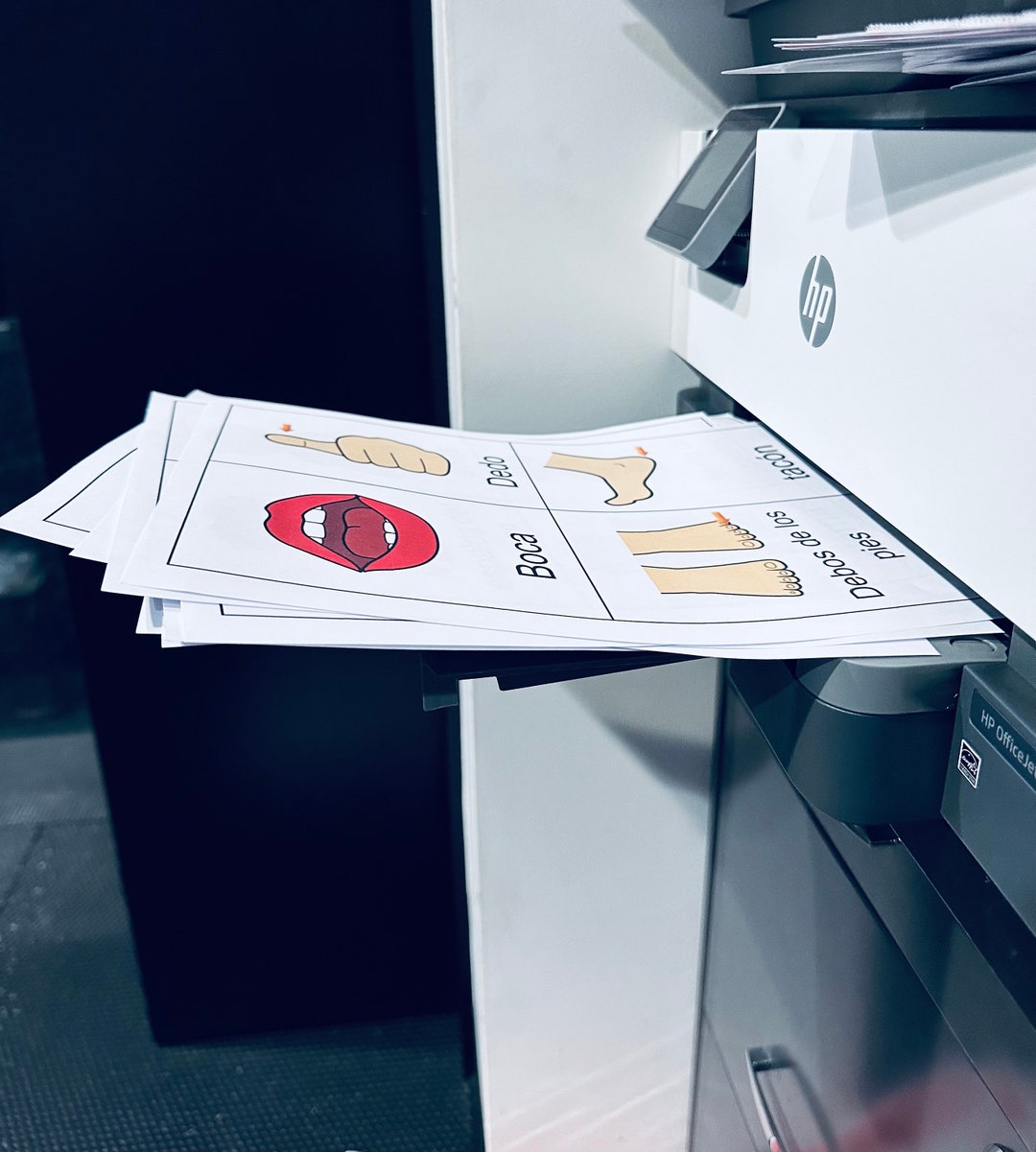 Italian and English Learn Human Body Parts 40 Large Flashcards Student ...