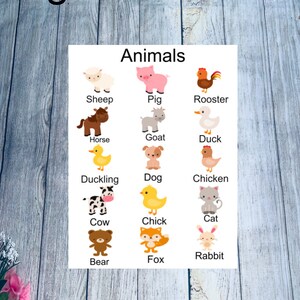 Shapes, Colors, Animal 6 Poster Wall Art Printable, Montessori ...