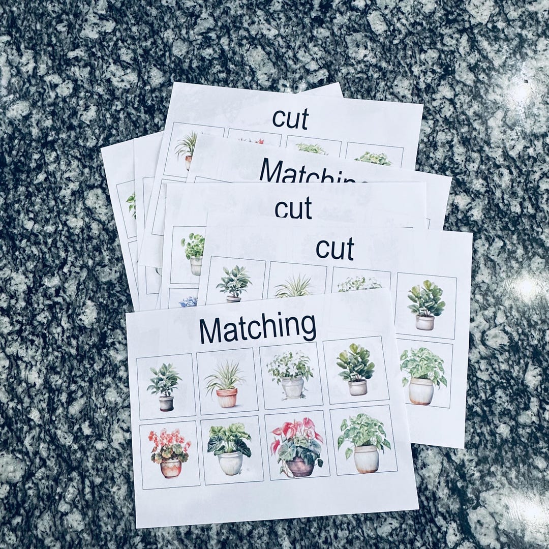 Plants Spring/ Summer Sorting Matching Morning Workminteractive ...