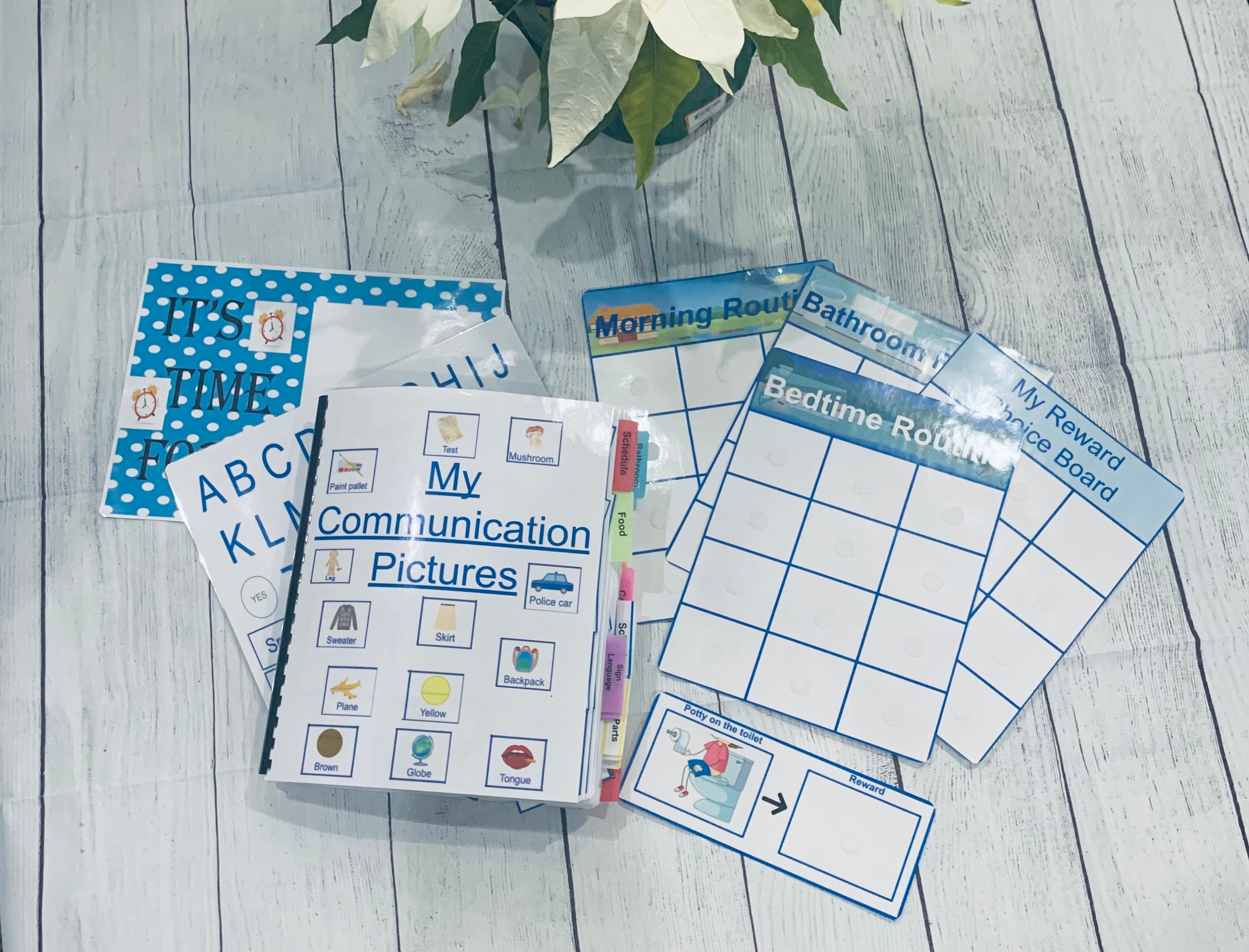 300 Autism Communication Pictures Card Sentence Builder - Etsy