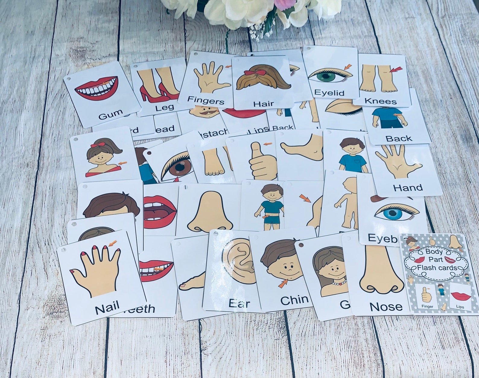 Human Body Part 40 Large Flash Cards, Student Homeschool Activity Kids ...