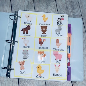 300 Picture Communication Cards | Autism, Special Needs, Speech Therapy ...