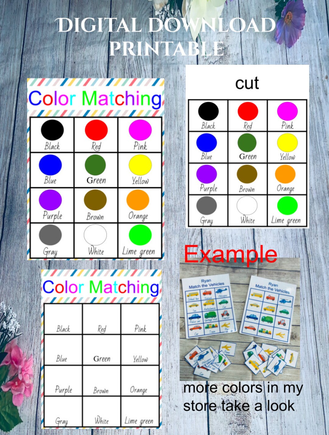 Color Matching Activities, Speech Therapy, Autism, Special Need ...