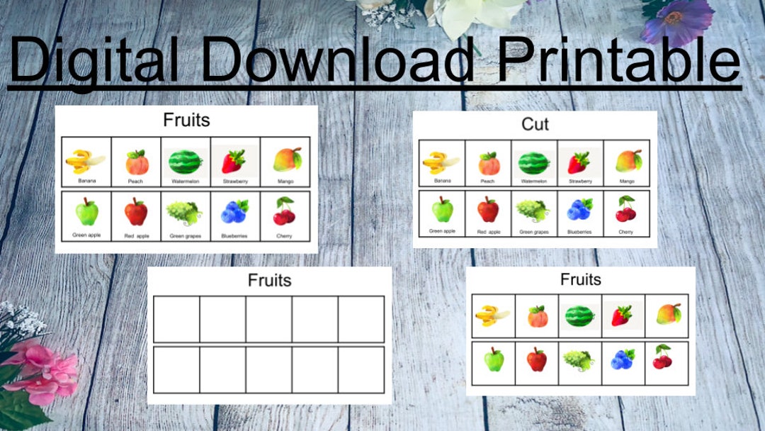 Toddler, Preschool Busy Work, Fruits Sorting Matching , Montessori ...