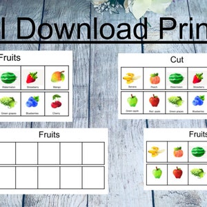 Toddler, Preschool Busy Work, Fruits Sorting Matching , Montessori ...