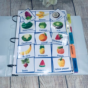 Autism Communication Pictures Cards Book or Binder Bundle of 300 ...