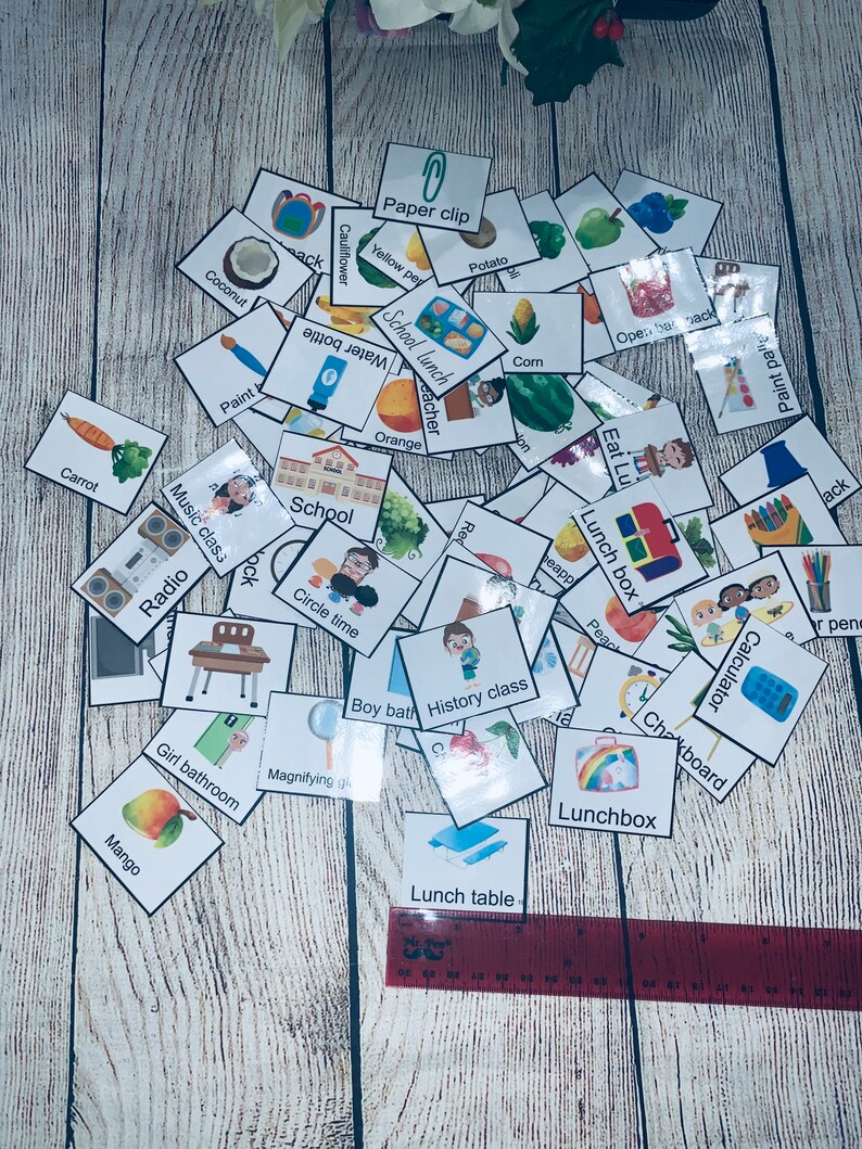 1,000 Pictures Card for Communication, Speech Therapy, Autism Nonverbal ...