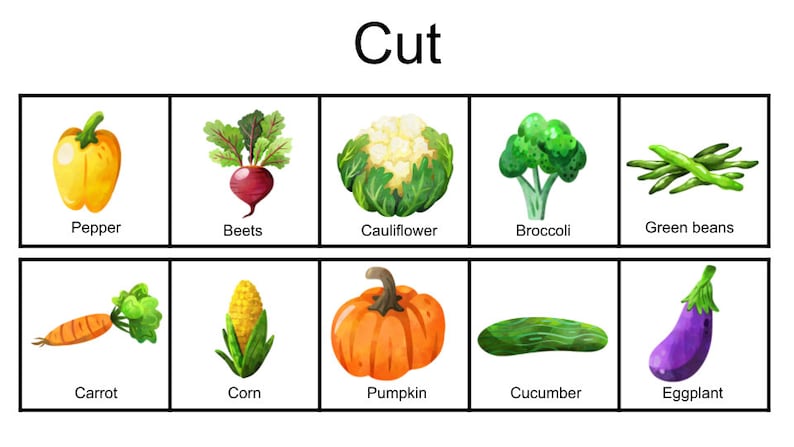 Toddler, Preschool Busy Work, Vegetables and Fruits Sorting Matching ...