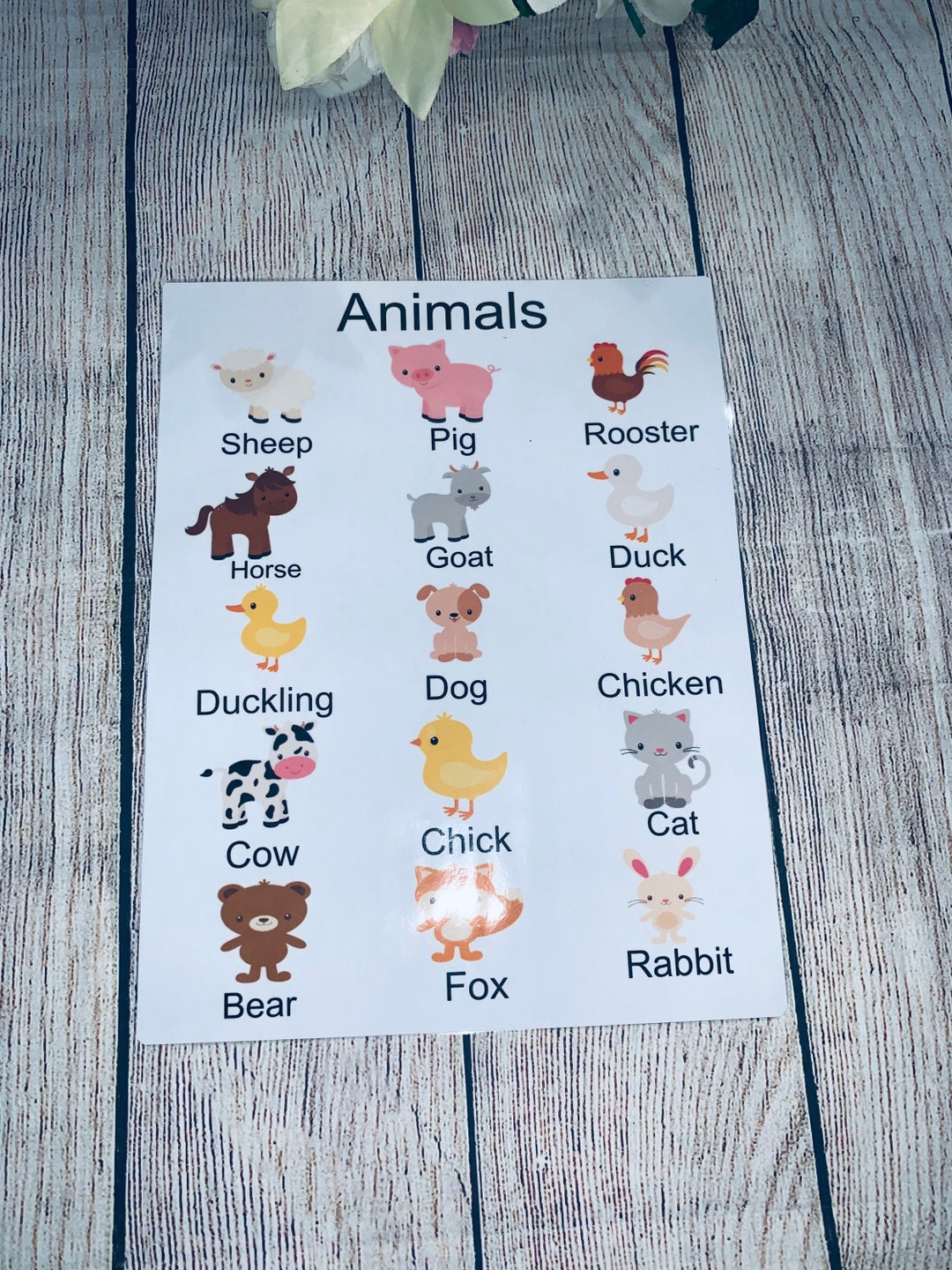 Animal Poster Wall Art Art Printable, Montessori Classroom Poster ...