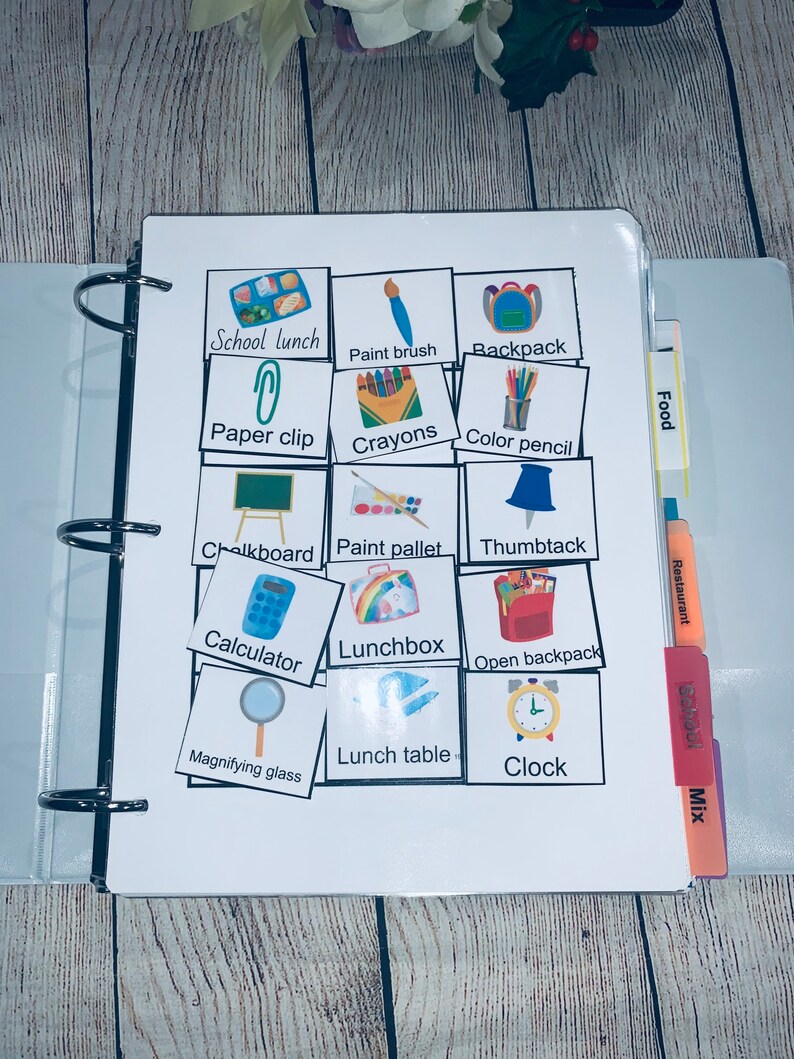 1,000 Pictures Card for Communication, Speech Therapy, Autism Nonverbal ...