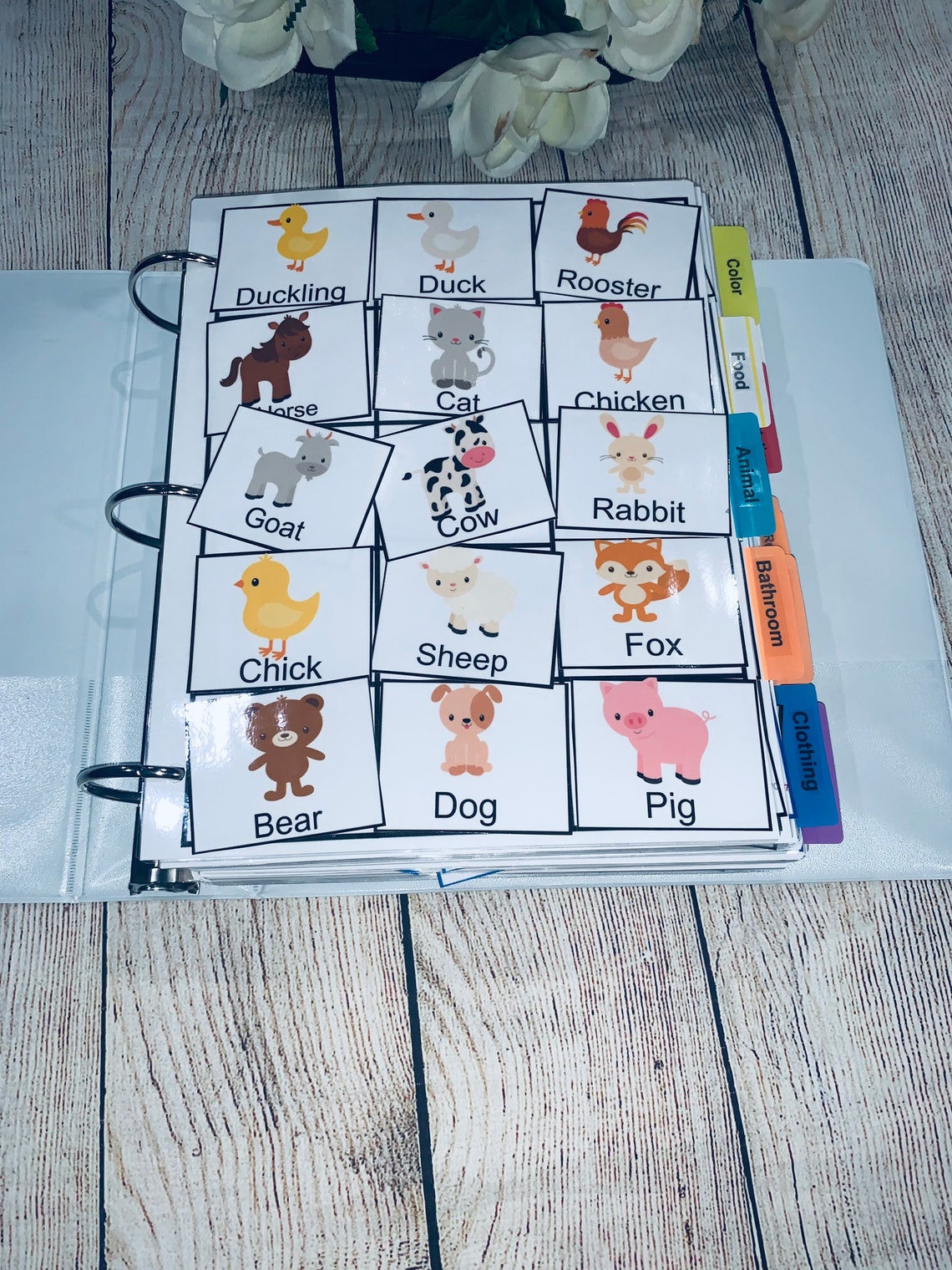 110 Autism Communication Pictures Cards Book or Binder Speech ABA ...