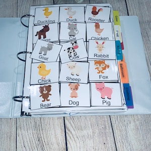 Autism Communication Pictures Cards Book or Binder Bundle of 300 ...