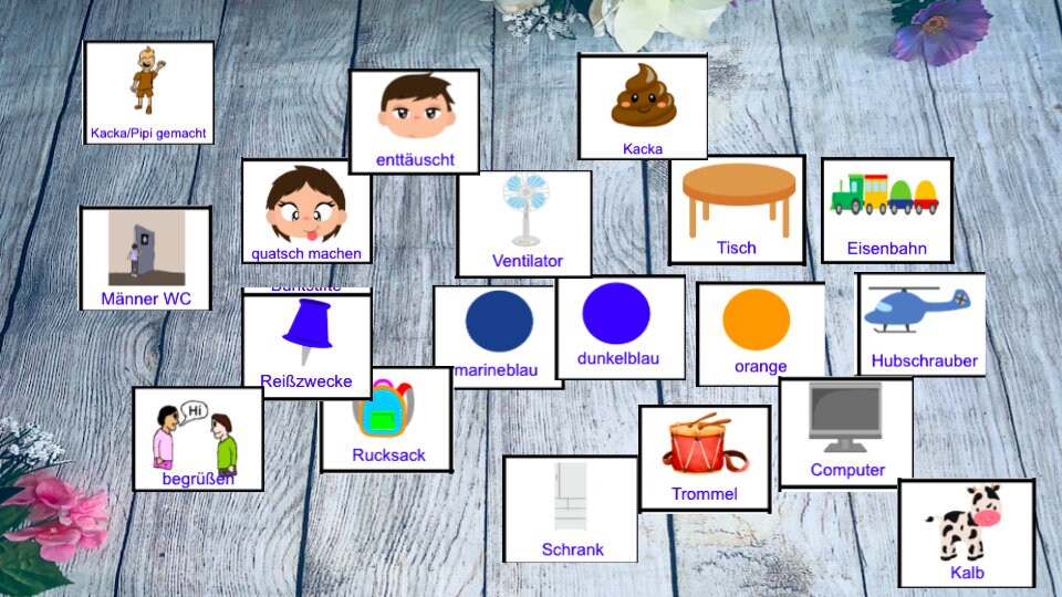 200 German Language Pictures Card for Communication, Speech Therapy ...