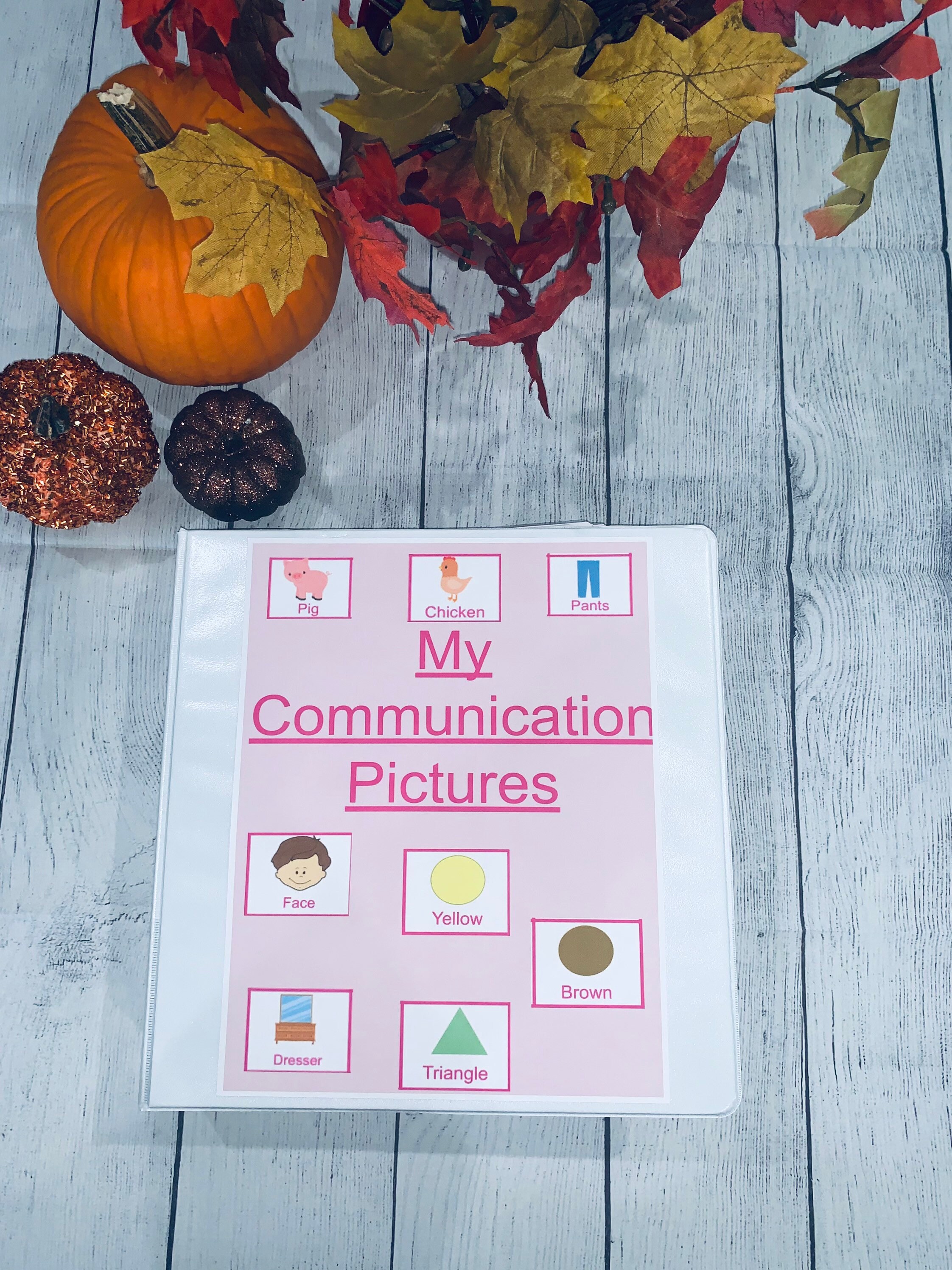 Pictures Card Bundle Speech Therapy, OT, DTT ABA Therapy, Autism Non ...